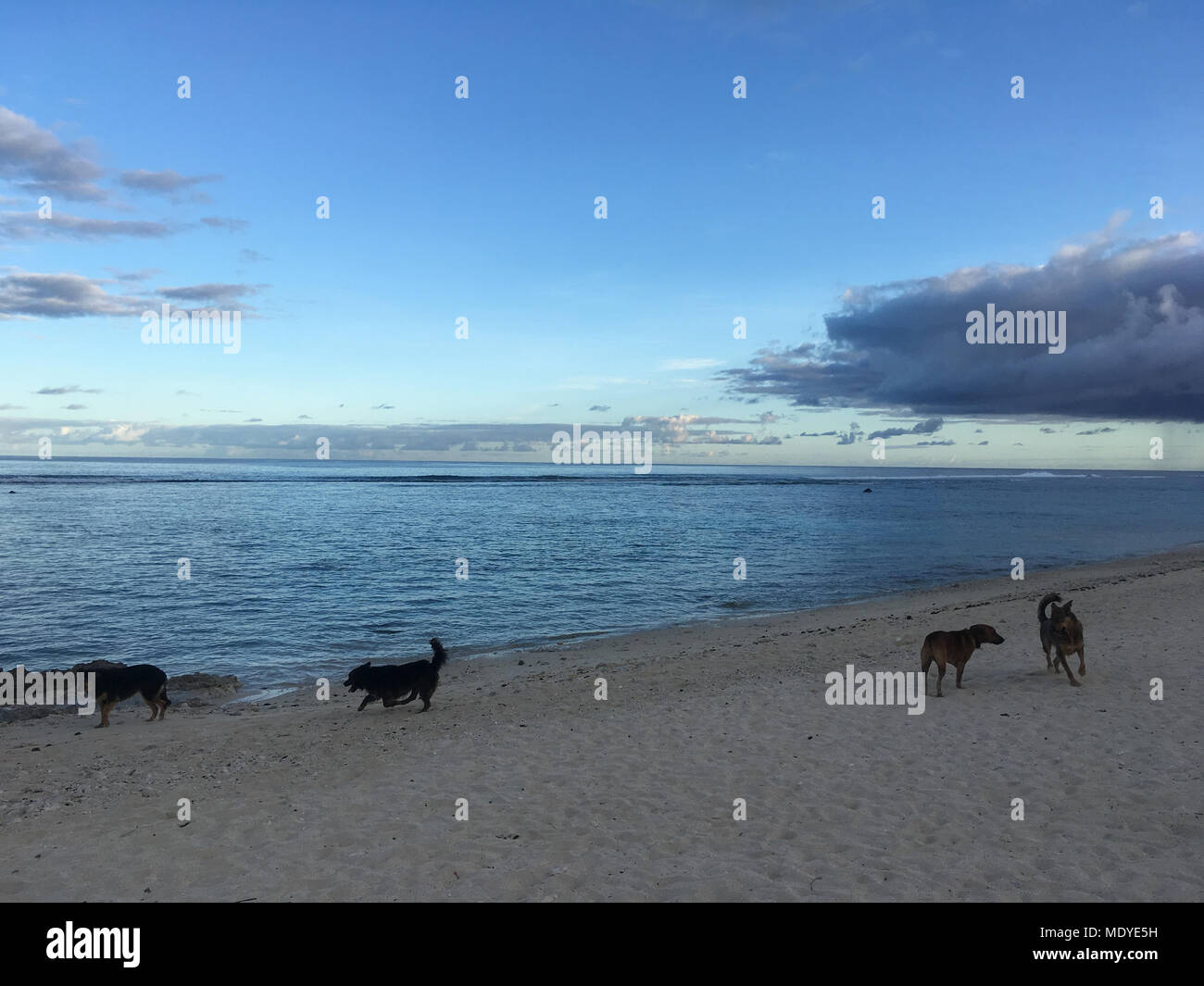 in , Cook Islands, on 13 November 2017 Stock Photo - Alamy