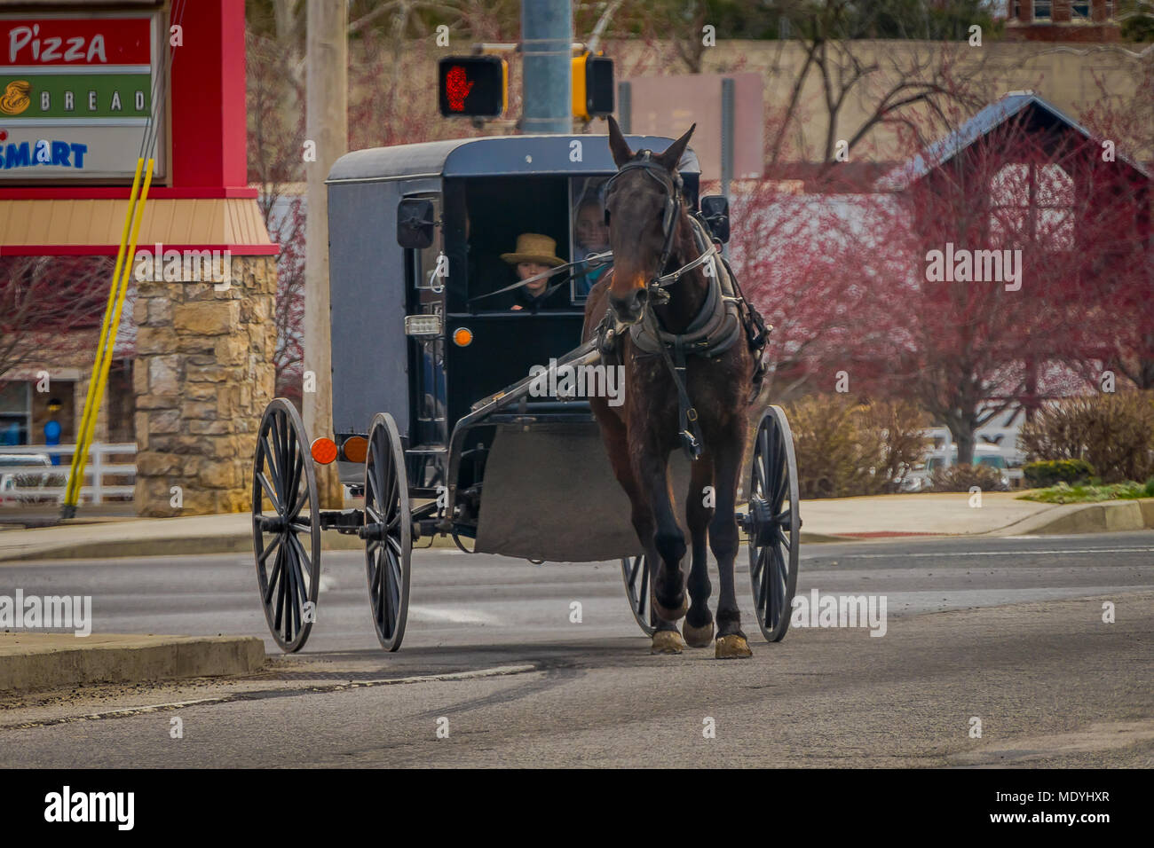 Amish people and technology hi-res stock photography and images - Alamy