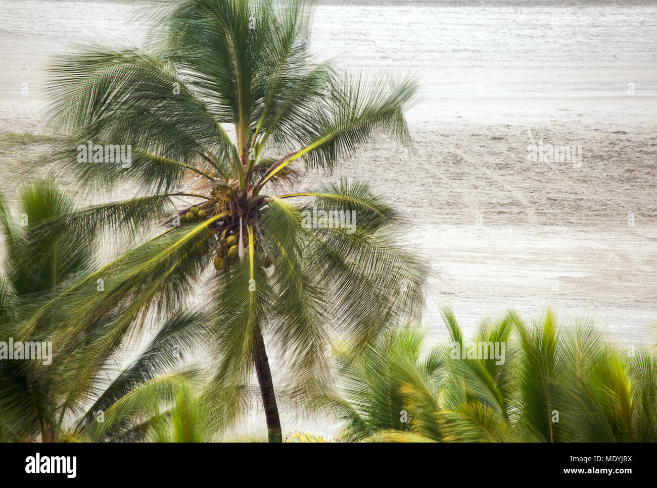 Gale force wind caribbean hi-res stock photography and images - Alamy