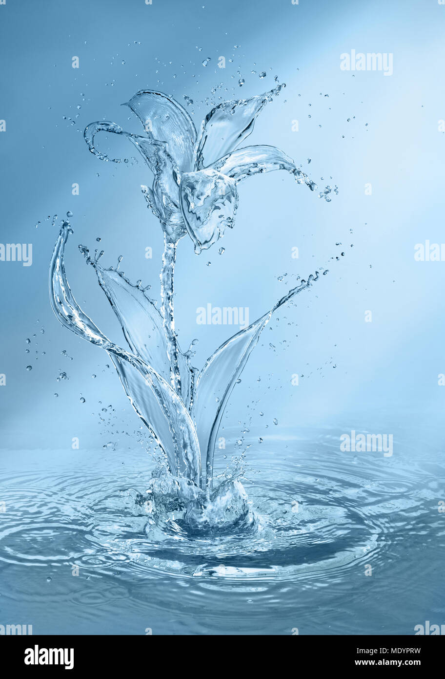 flower shape made of water splashes isolated on empty background Stock ...