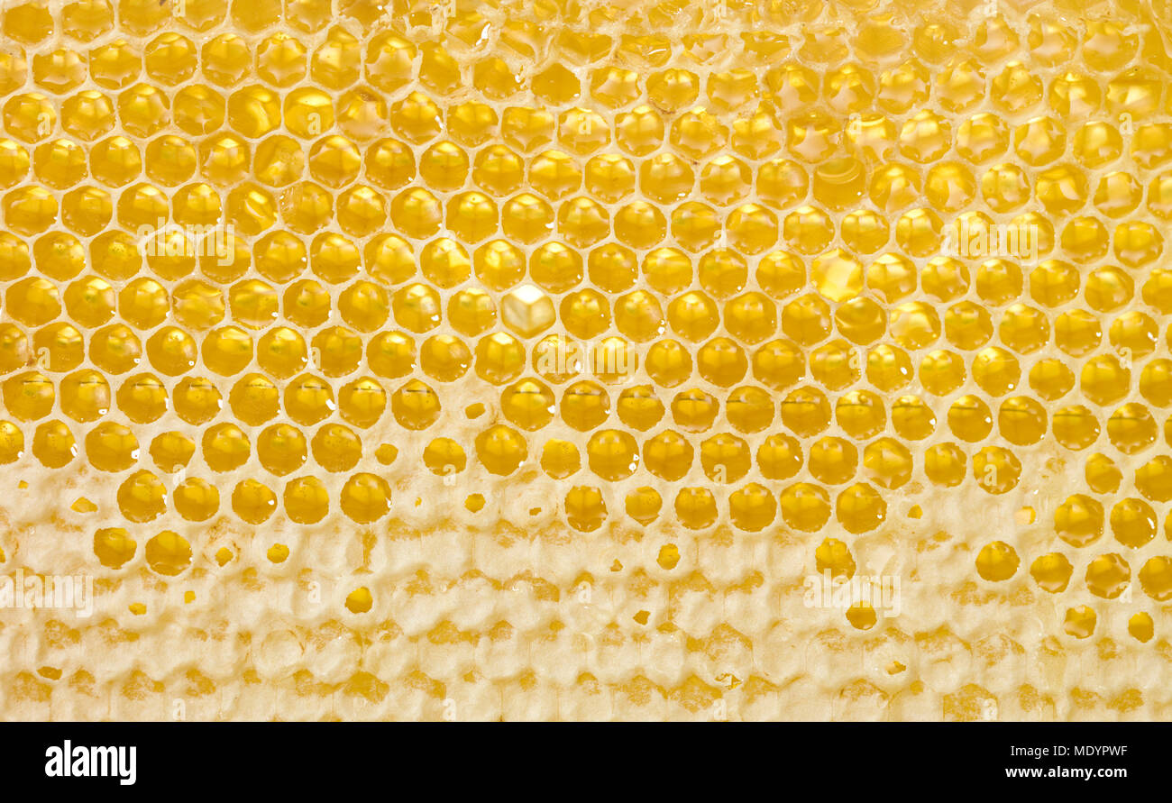natural honey comb hexagonal texture, macro photo high resolution Stock ...