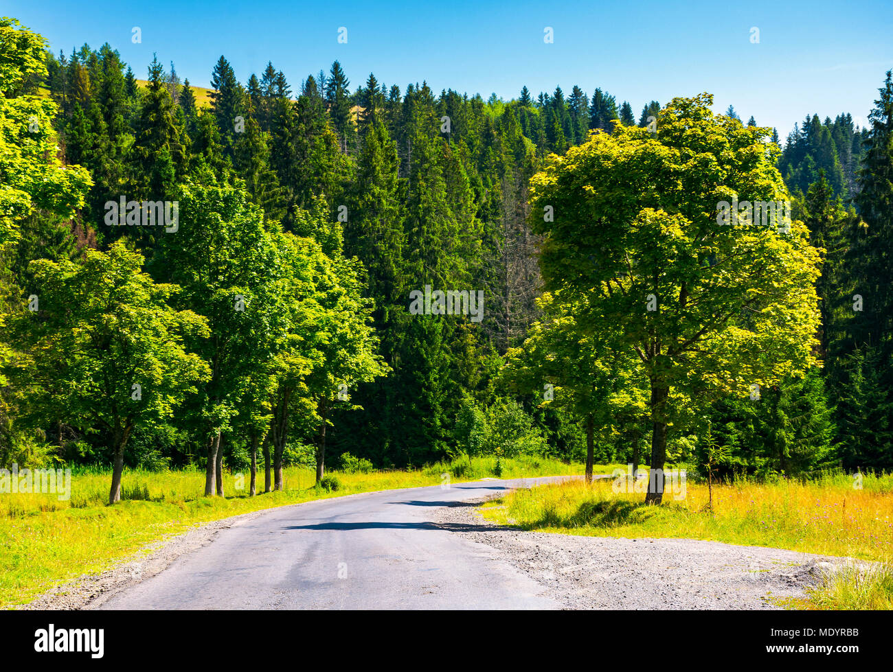 Road landscape forest hi-res stock photography and images - Alamy