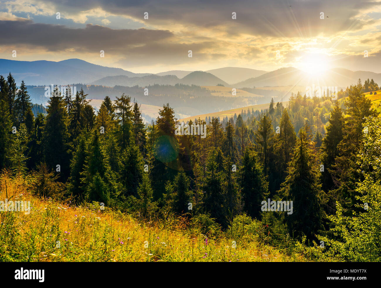 Lovely sun ray hi-res stock photography and images - Alamy