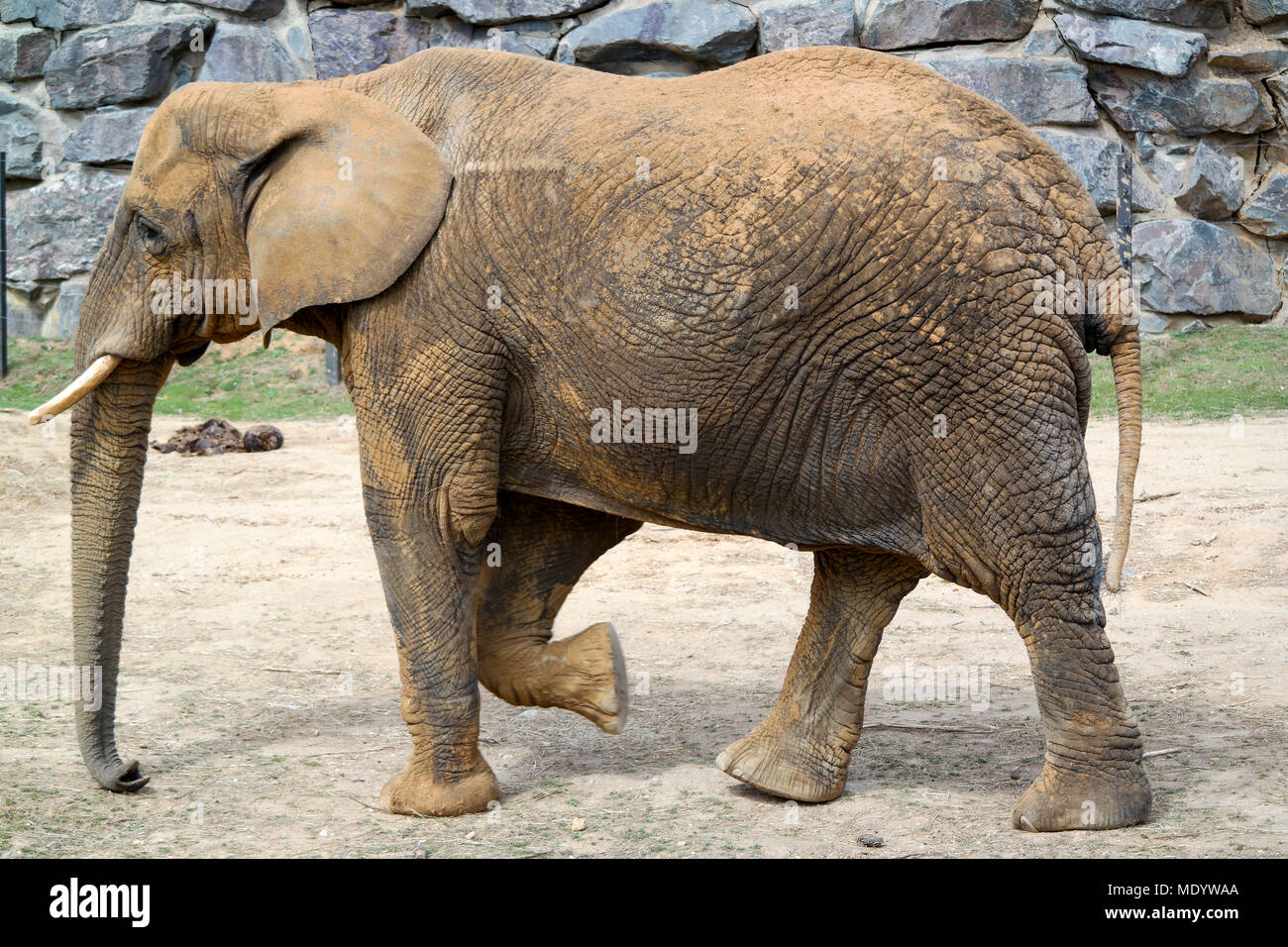 African nature pictures hi-res stock photography and images - Alamy