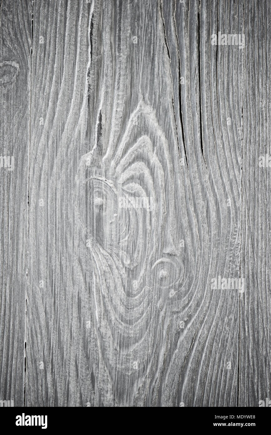 Wood texture. Gray timber board with weathered crack lines. Natural ...