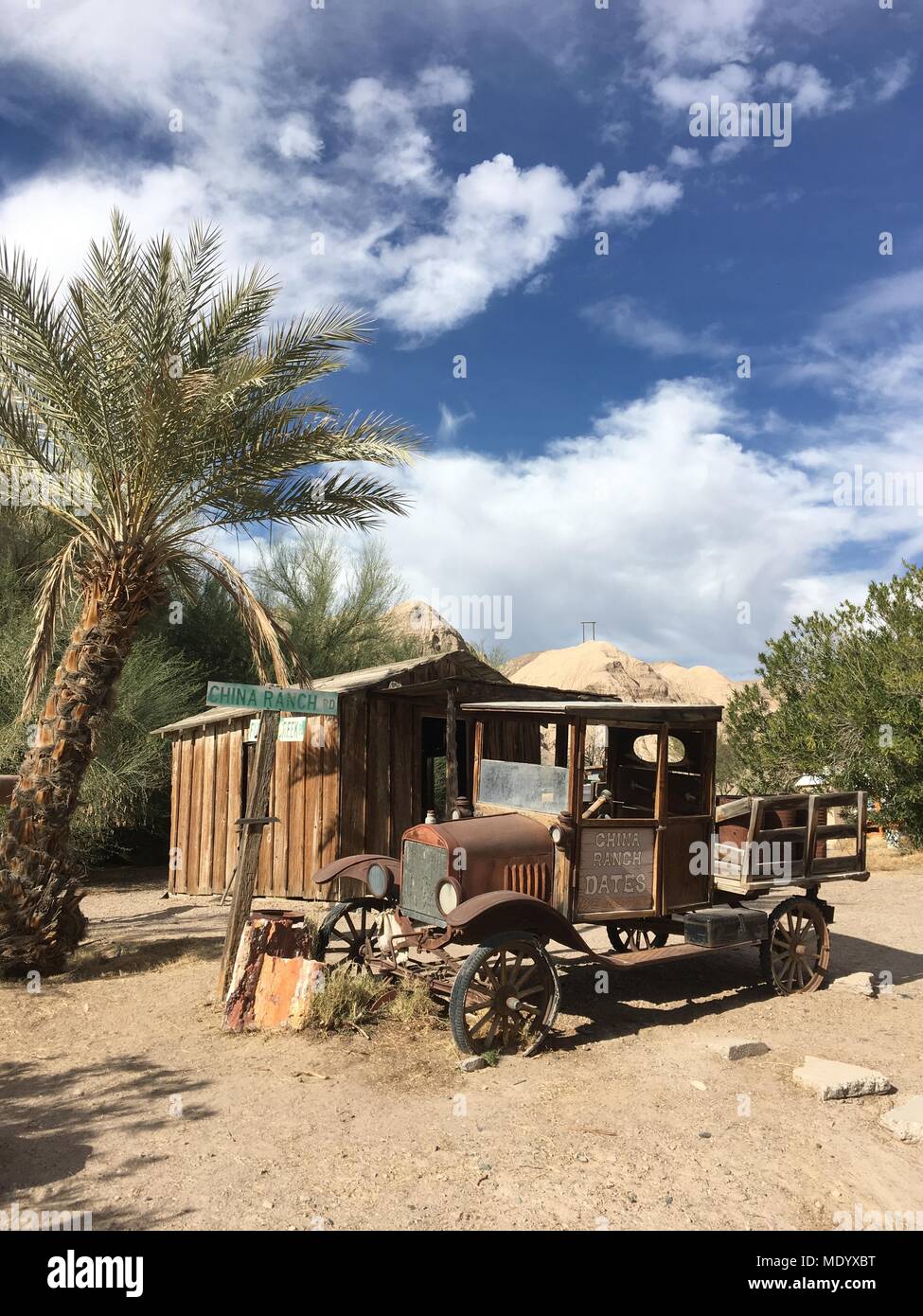 China Ranch Date Farm, California Stock Photo - Alamy