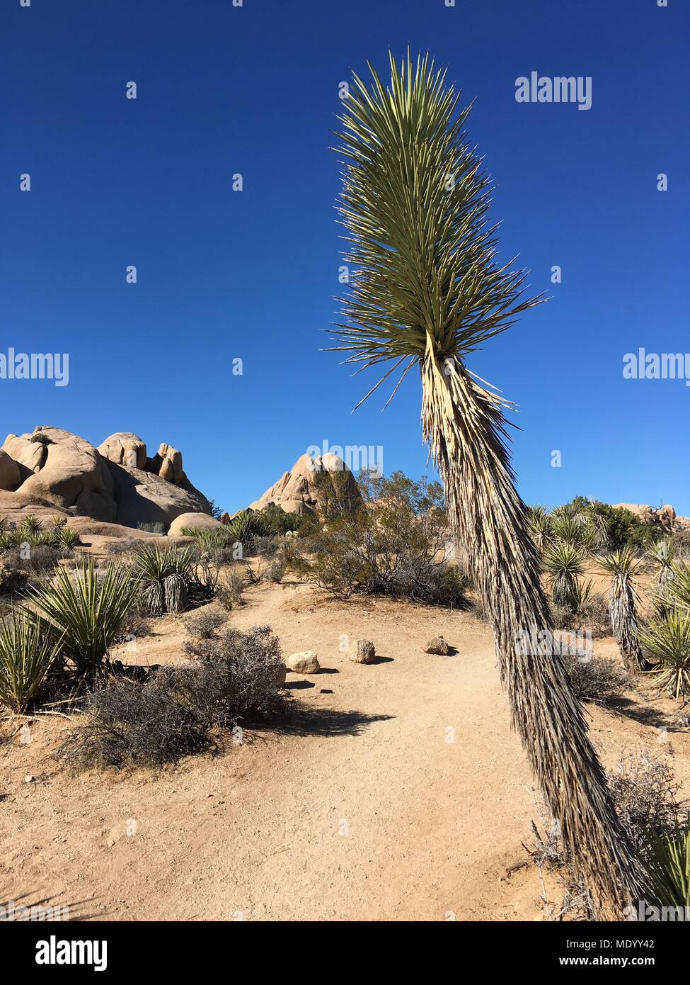 Ice break up on beach in winter Stock Photo - Alamy