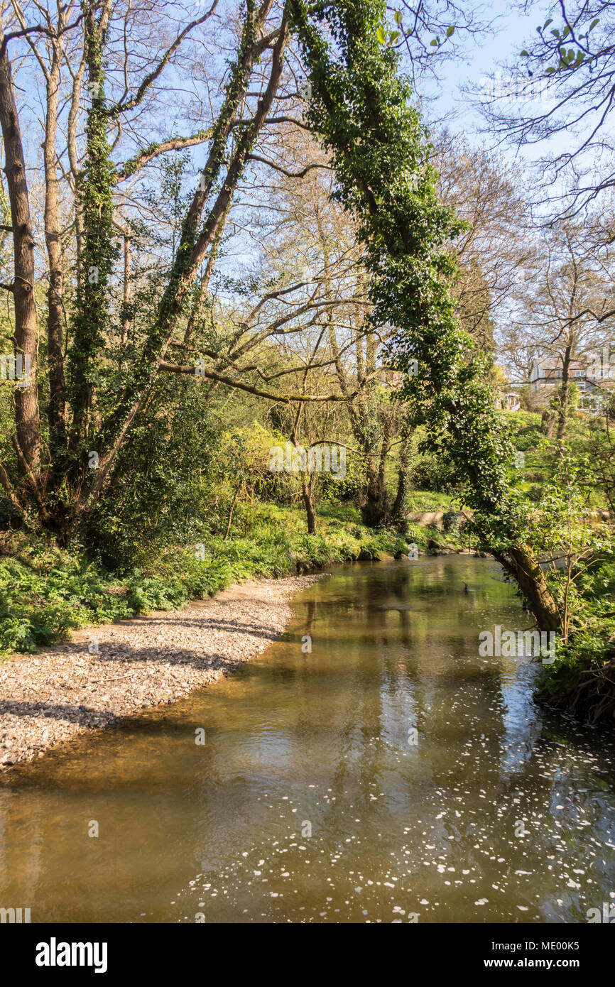 The River Sid flowing through the Byes, Sidmouth. The Sid is one of ...