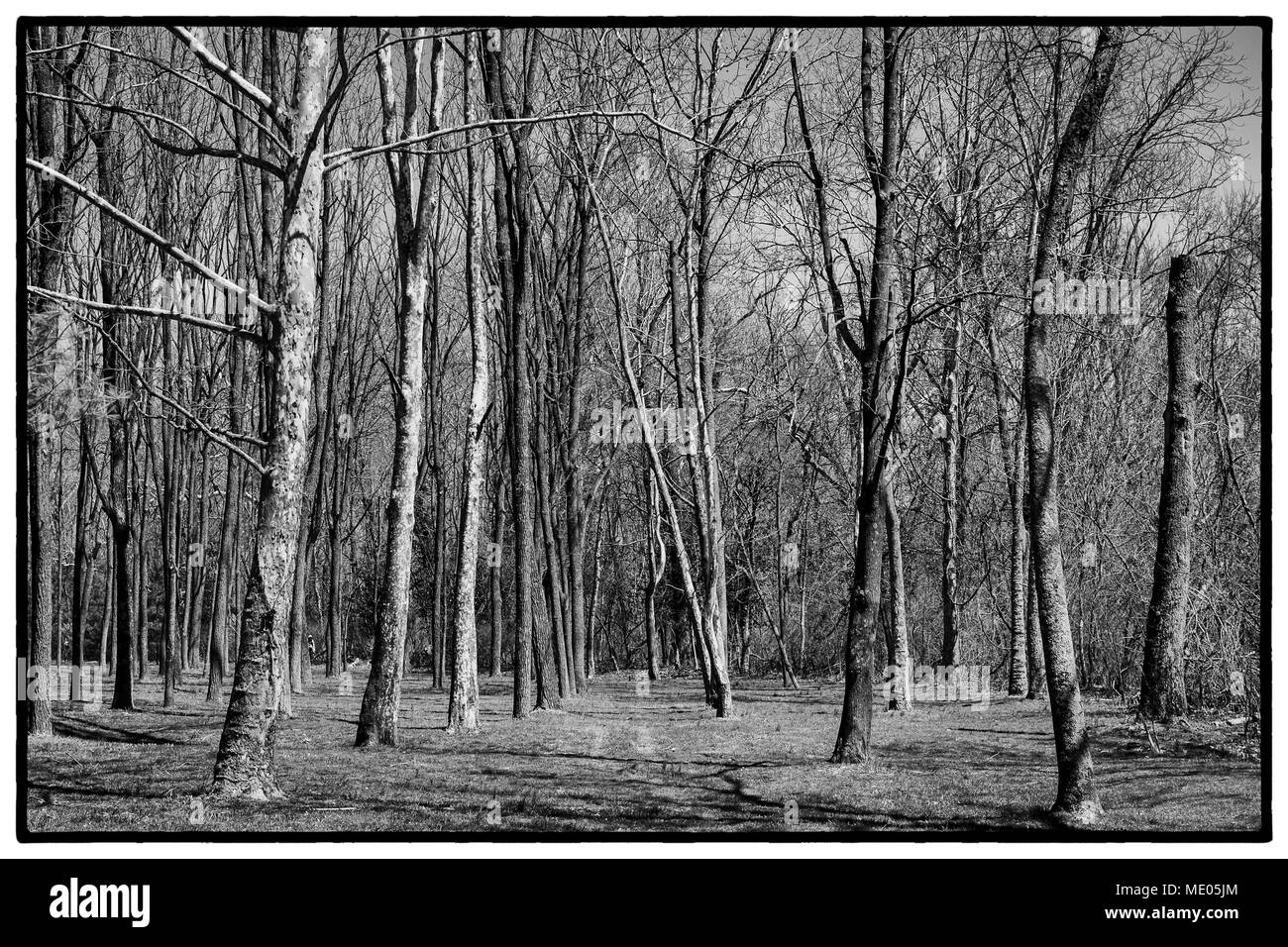 Light blue and white colors Black and White Stock Photos & Images - Alamy