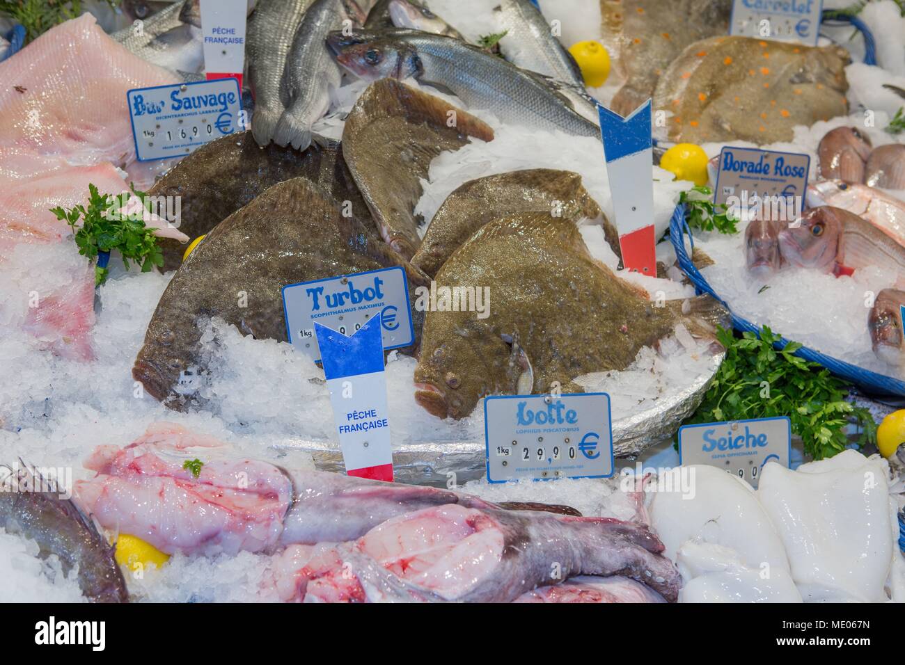 Paris, shops food, fish shop, seafood, fish, turbot, monkfish Stock ...