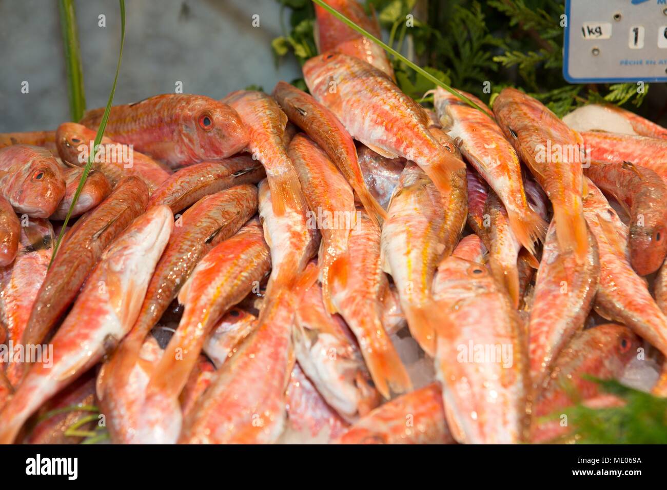Paris, shops food, fish shop, seafood, fish, red mullets Stock Photo ...