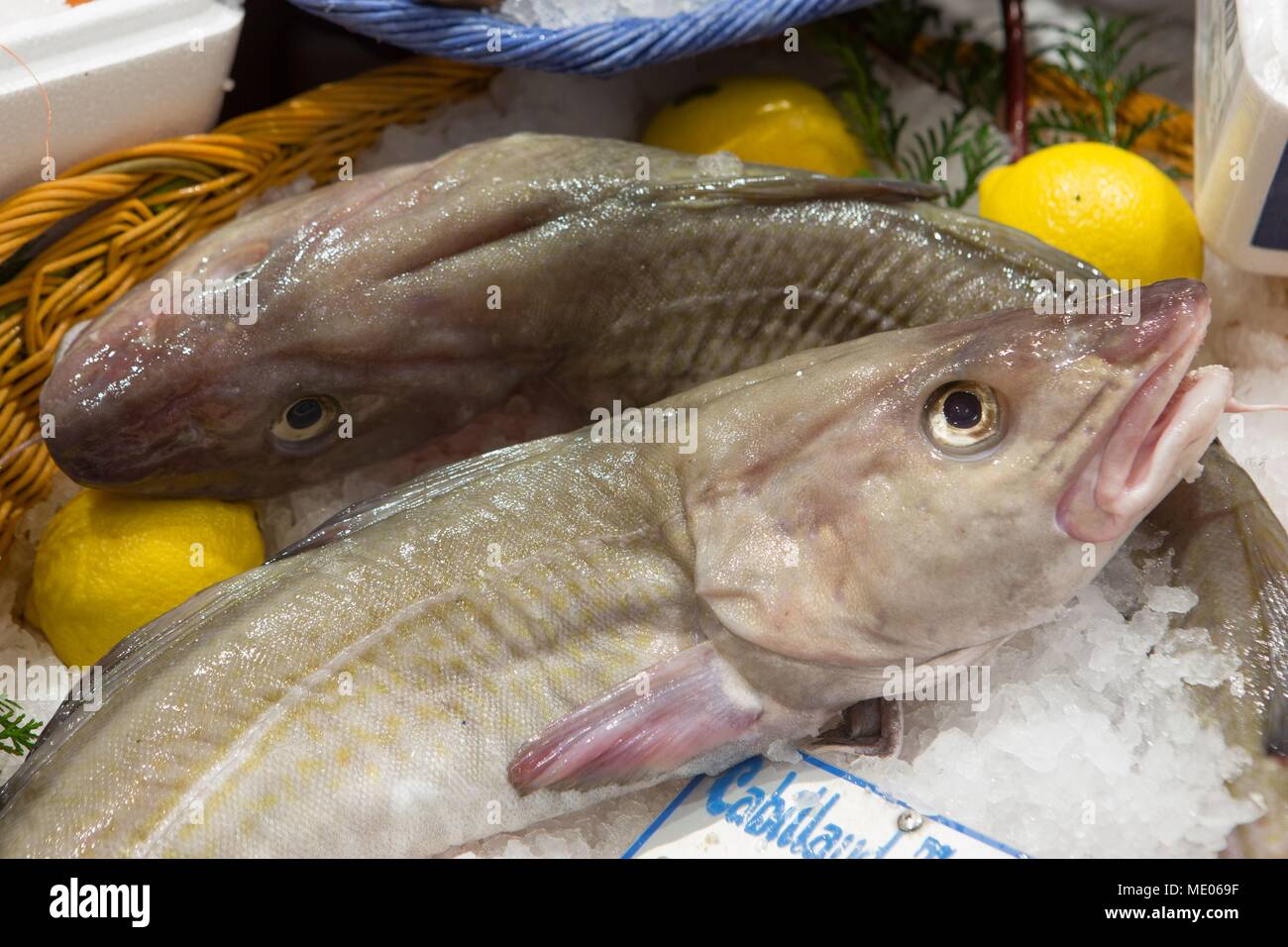 Paris, shops food, fish shop, seafood, fish, cod Stock Photo - Alamy