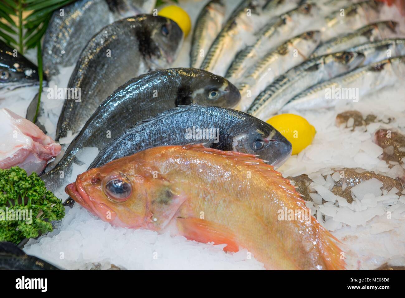Paris, shops food, fish shop, seafood, fish Stock Photo - Alamy