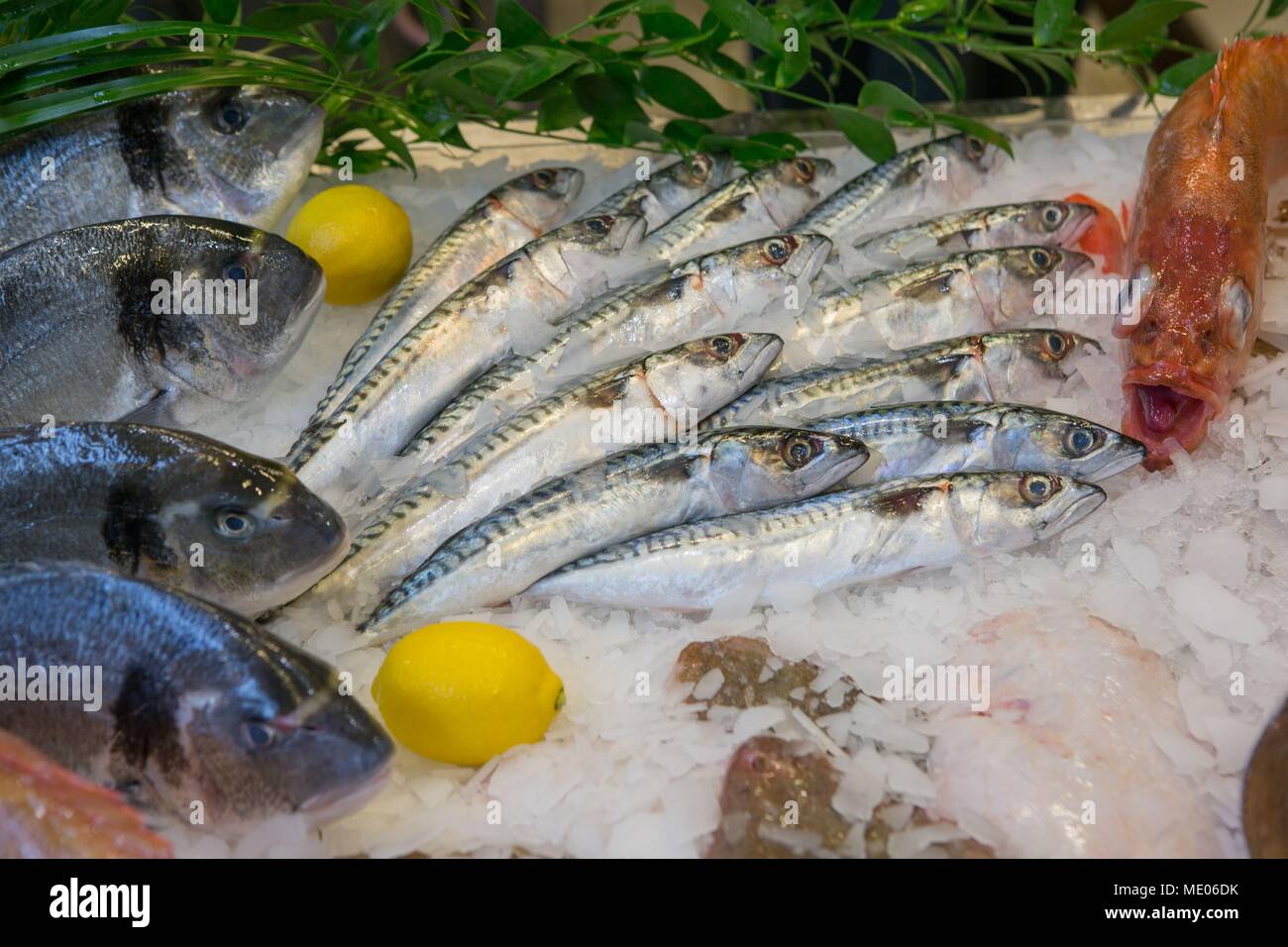 Paris, shops food, fish shop, seafood, fish Stock Photo - Alamy