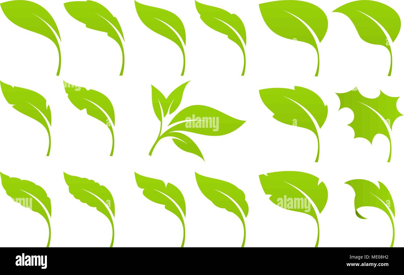 Leaf Stock Vector Images - Alamy