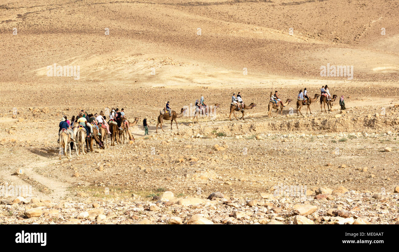 Camel riding israel hi-res stock photography and images - Alamy