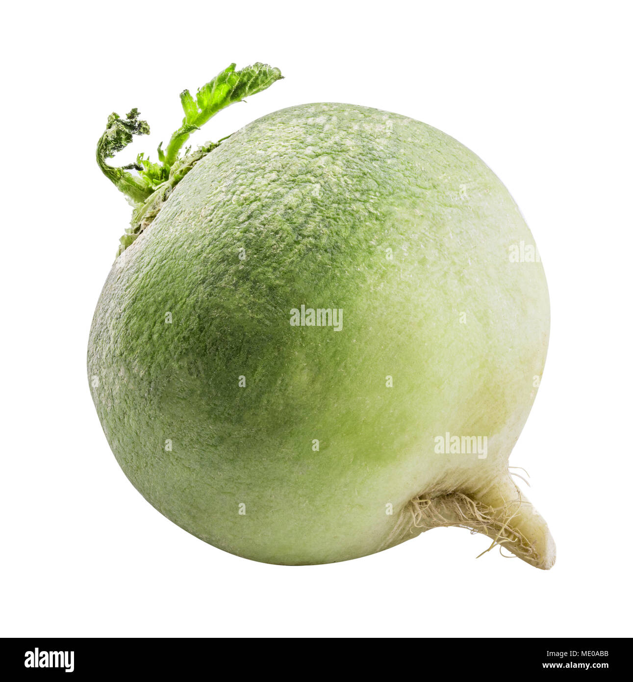 Fresh green raw redish isolated on white background with shadow ...