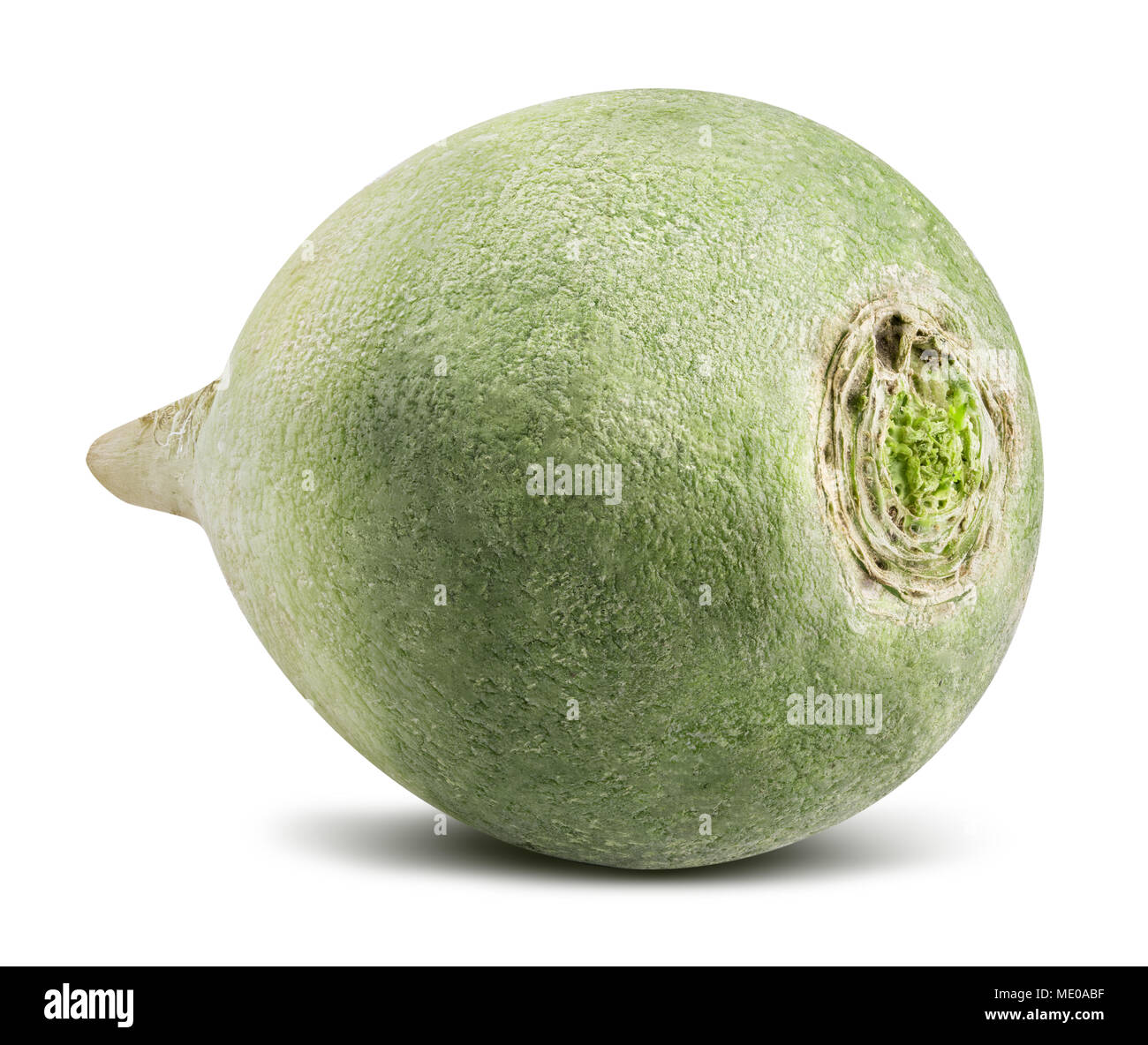 Fresh green raw redish isolated on white background with shadow ...