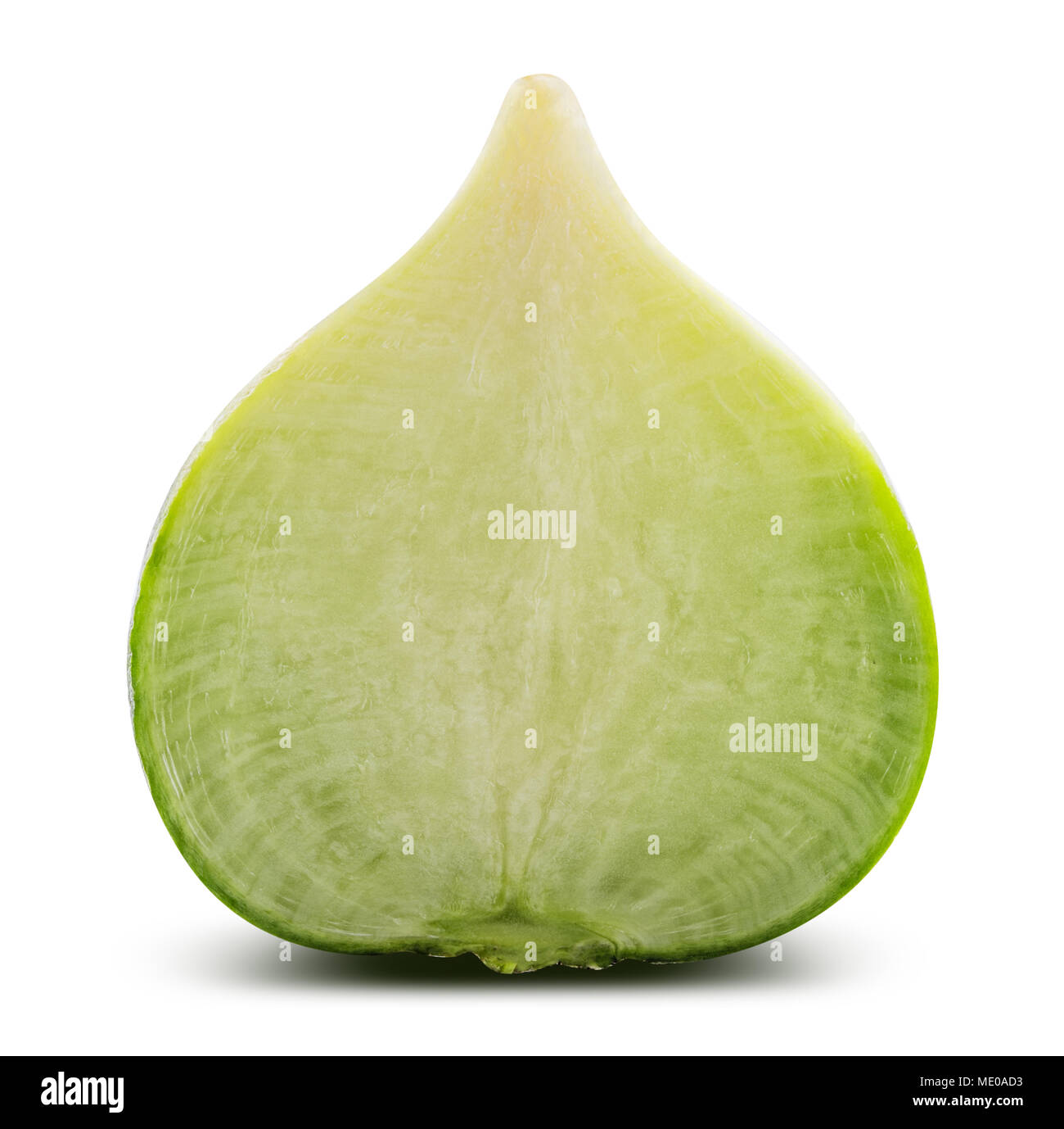 Fresh green raw redish isolated on white background with shadow ...