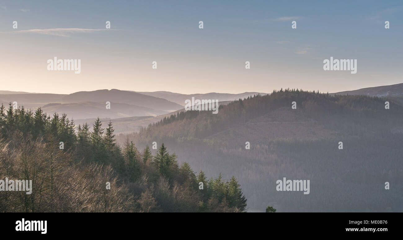 Forest Of Ettrick High Resolution Stock Photography and Images - Alamy