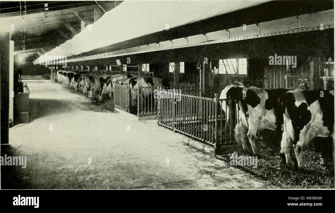 Examples of splices in different stages of completion, from the Nordisk ...