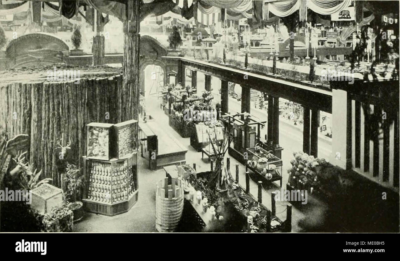 Examples of splices in different stages of completion, from the Nordisk ...