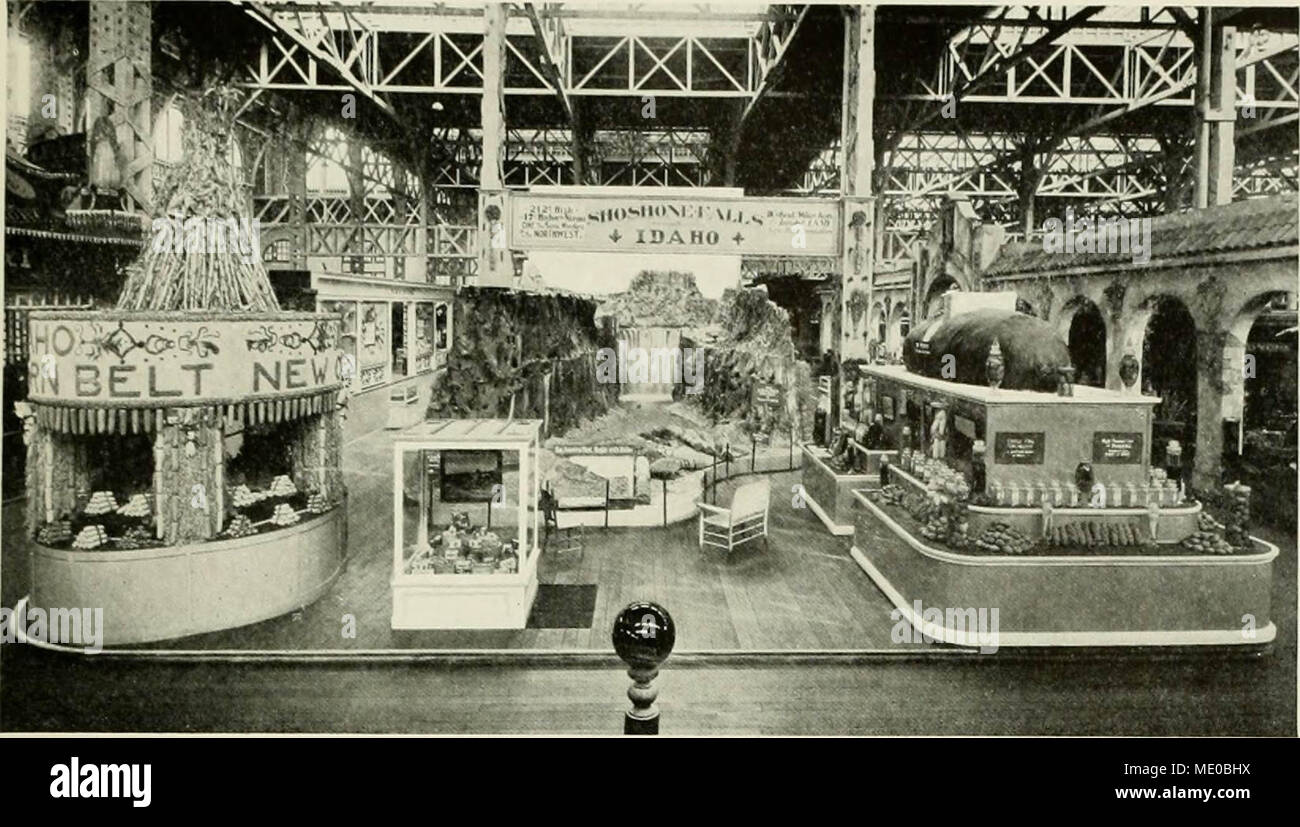 Examples of splices in different stages of completion, from the Nordisk ...