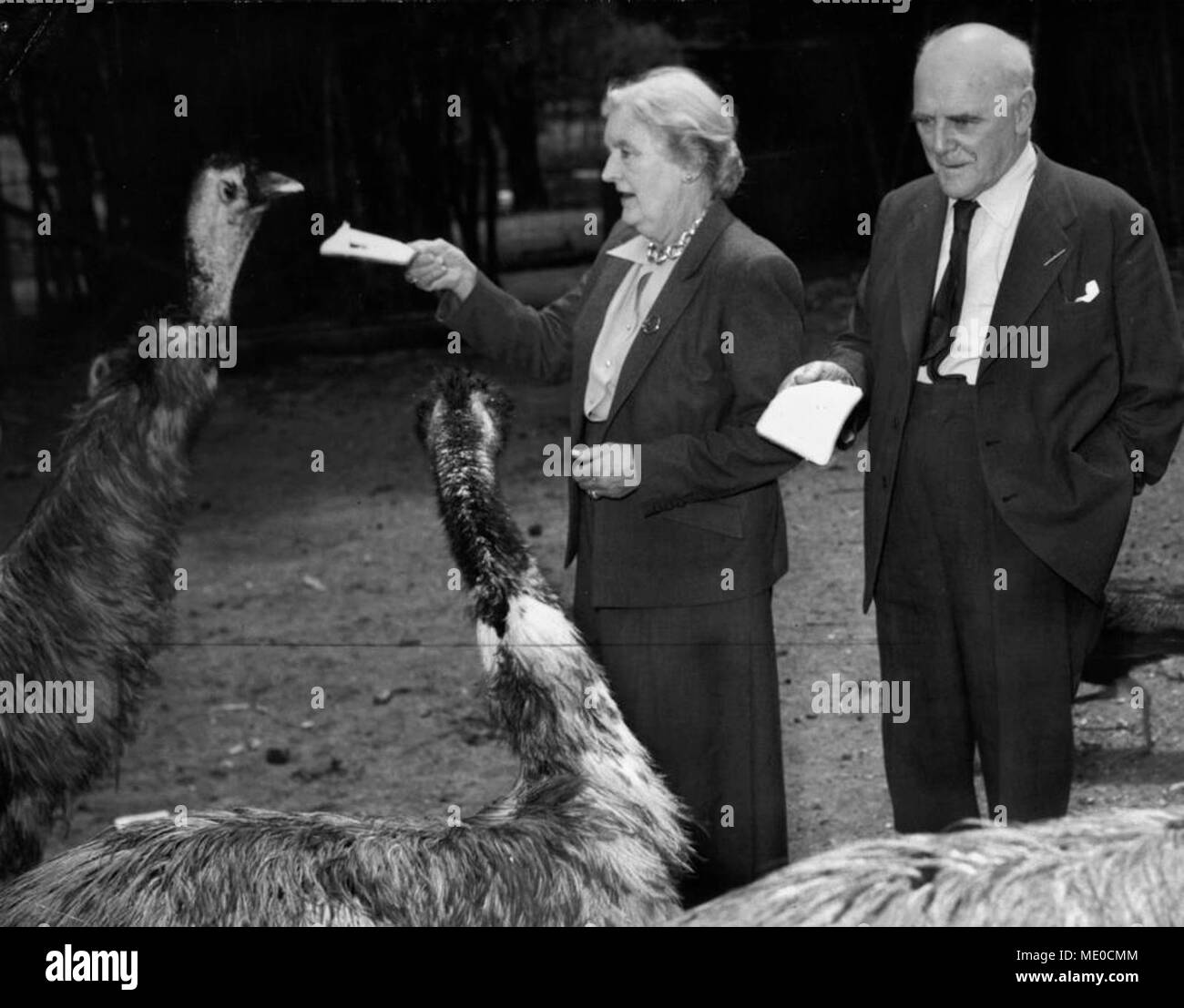 Sybil lewis hi-res stock photography and images - Alamy