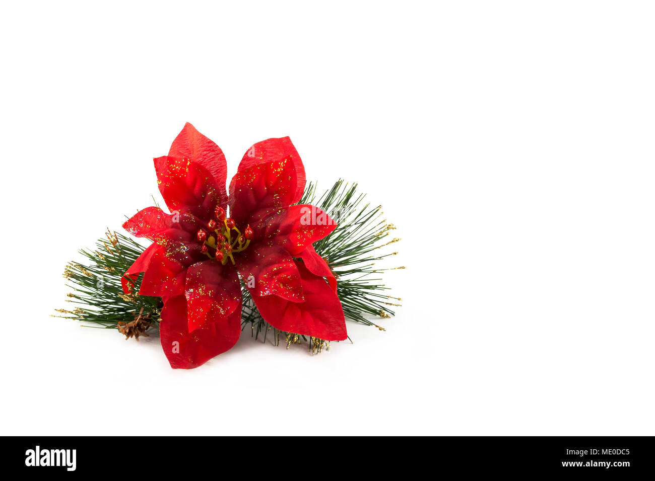 Close up of poinsettia leaf Cut Out Stock Images & Pictures - Alamy
