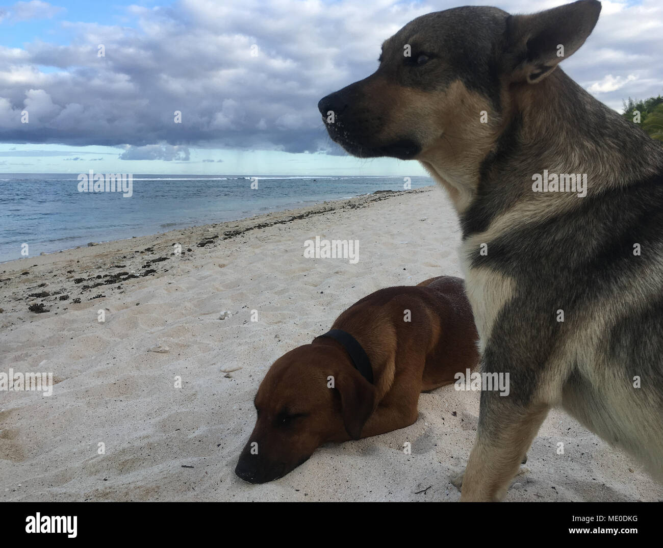 in , Cook Islands, on 13 November 2017 Stock Photo - Alamy