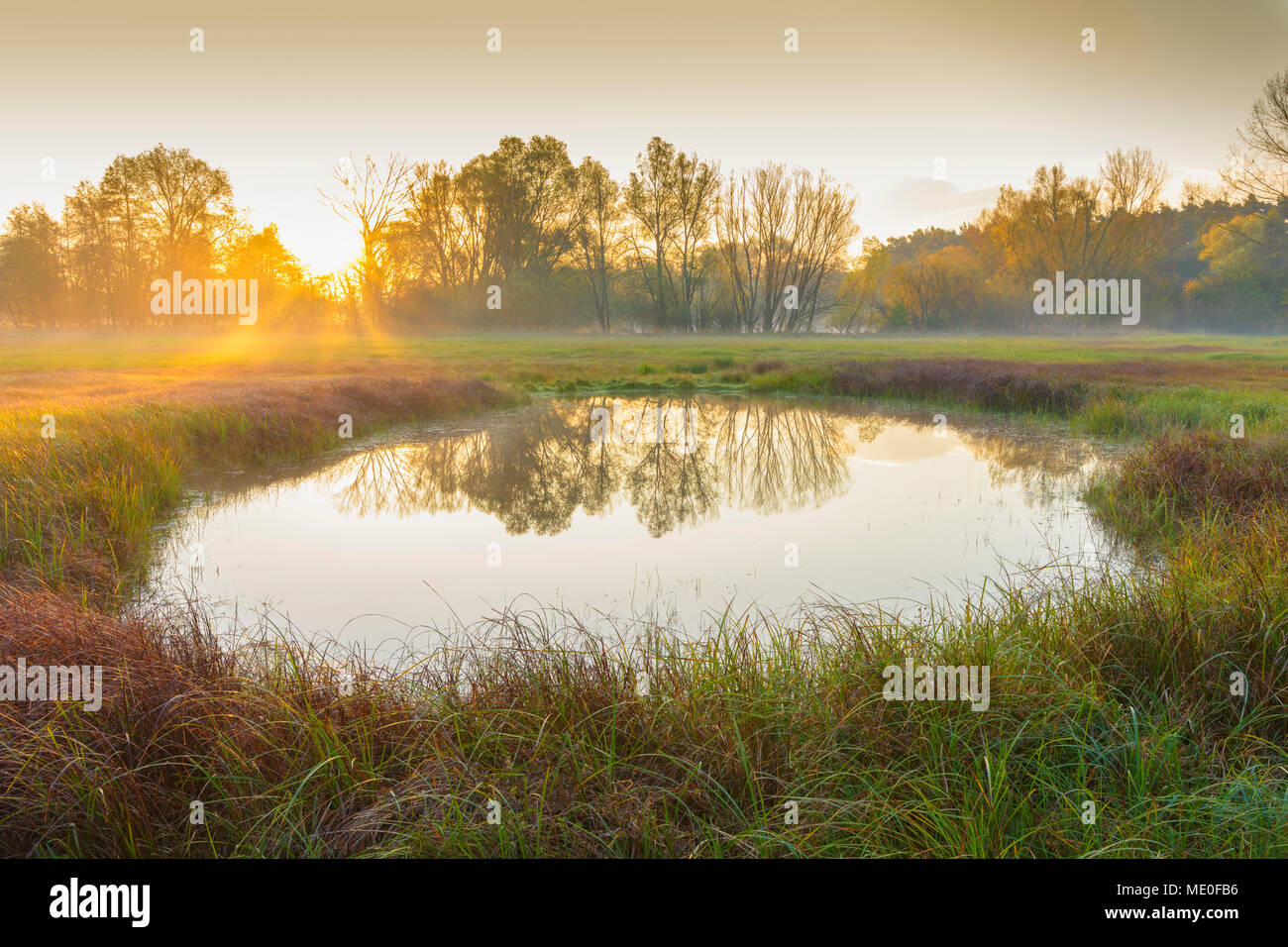 Calming autumn scene peaceful pond hi-res stock photography and images ...