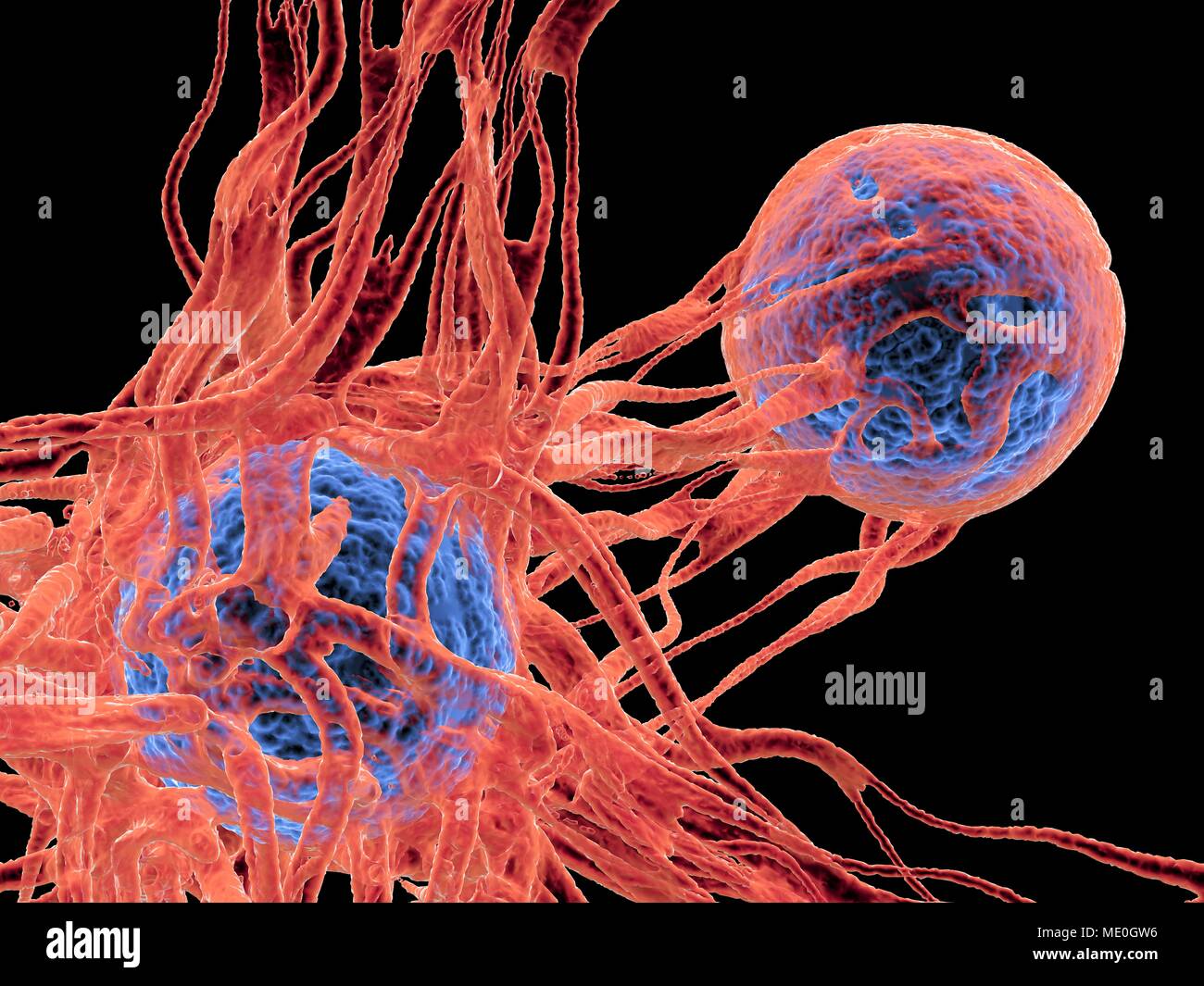 Cancer cell. Computer illustration of cancer cells, showing the blood ...