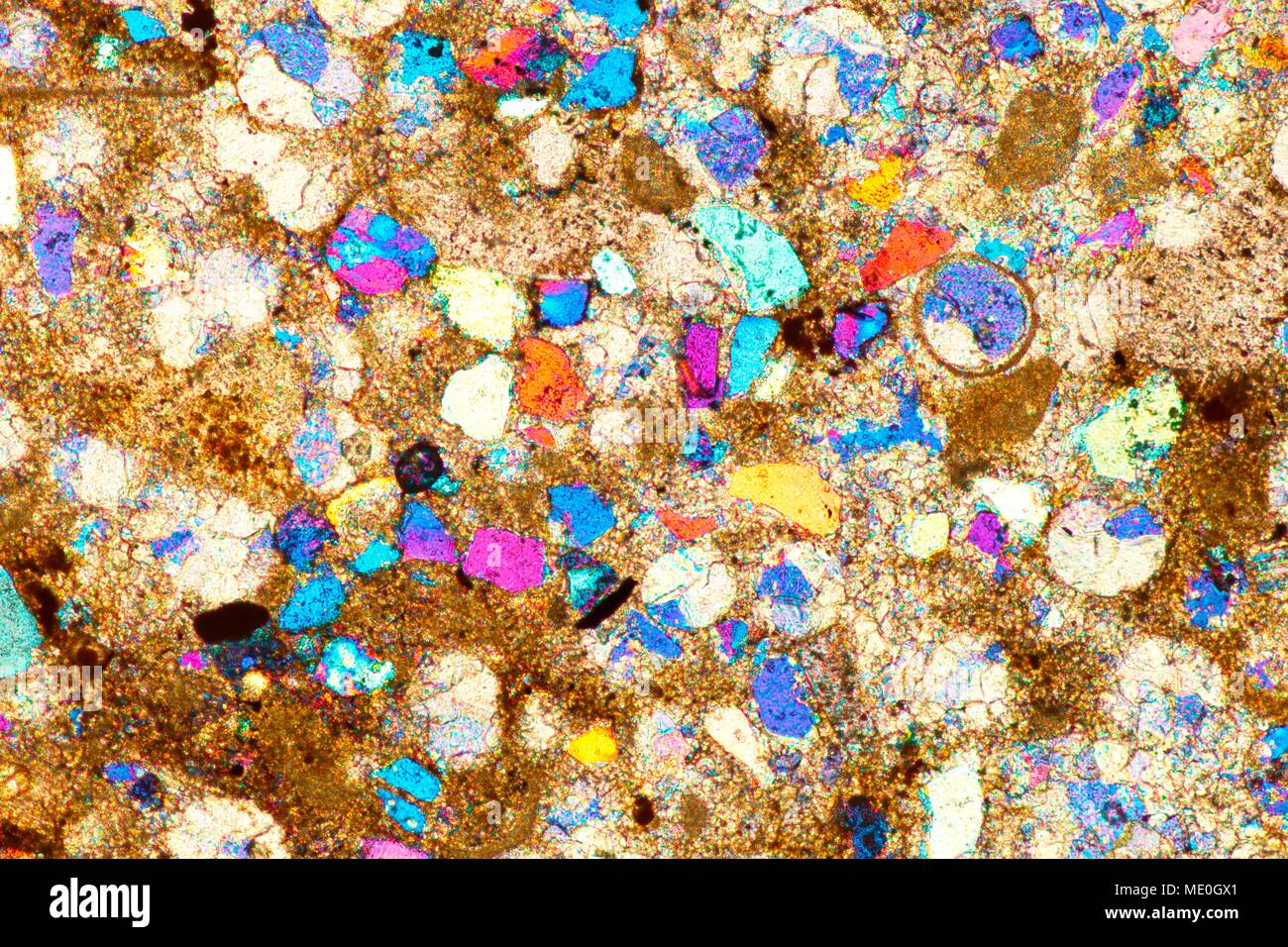 Marine sandstone from Yorkshire, Great Britain. Polarised light ...