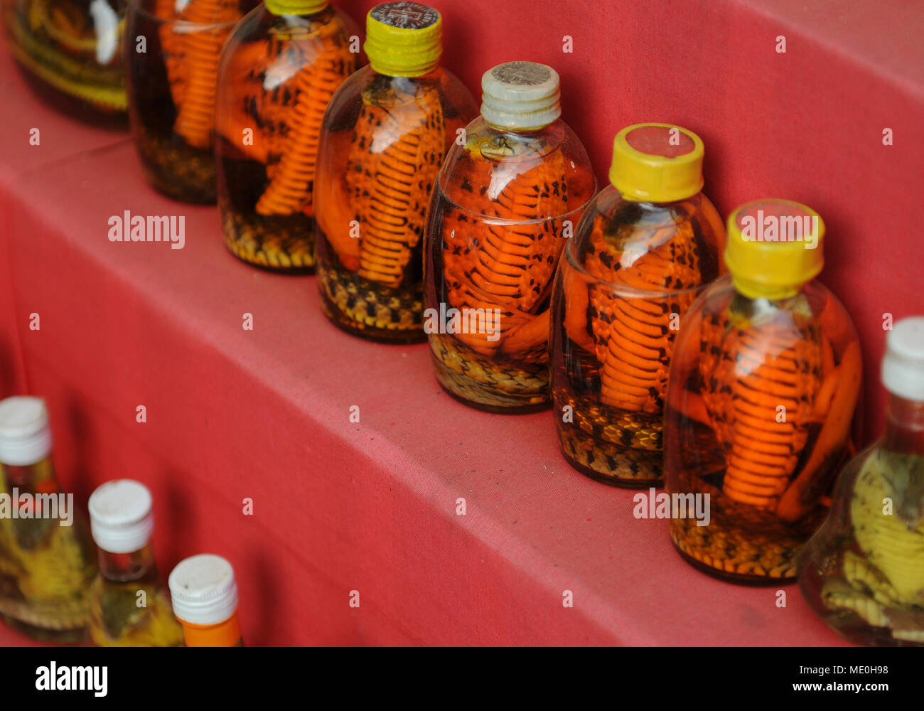 Bottle of alcohol filled with cobra snakes. The liquid from the snake ...