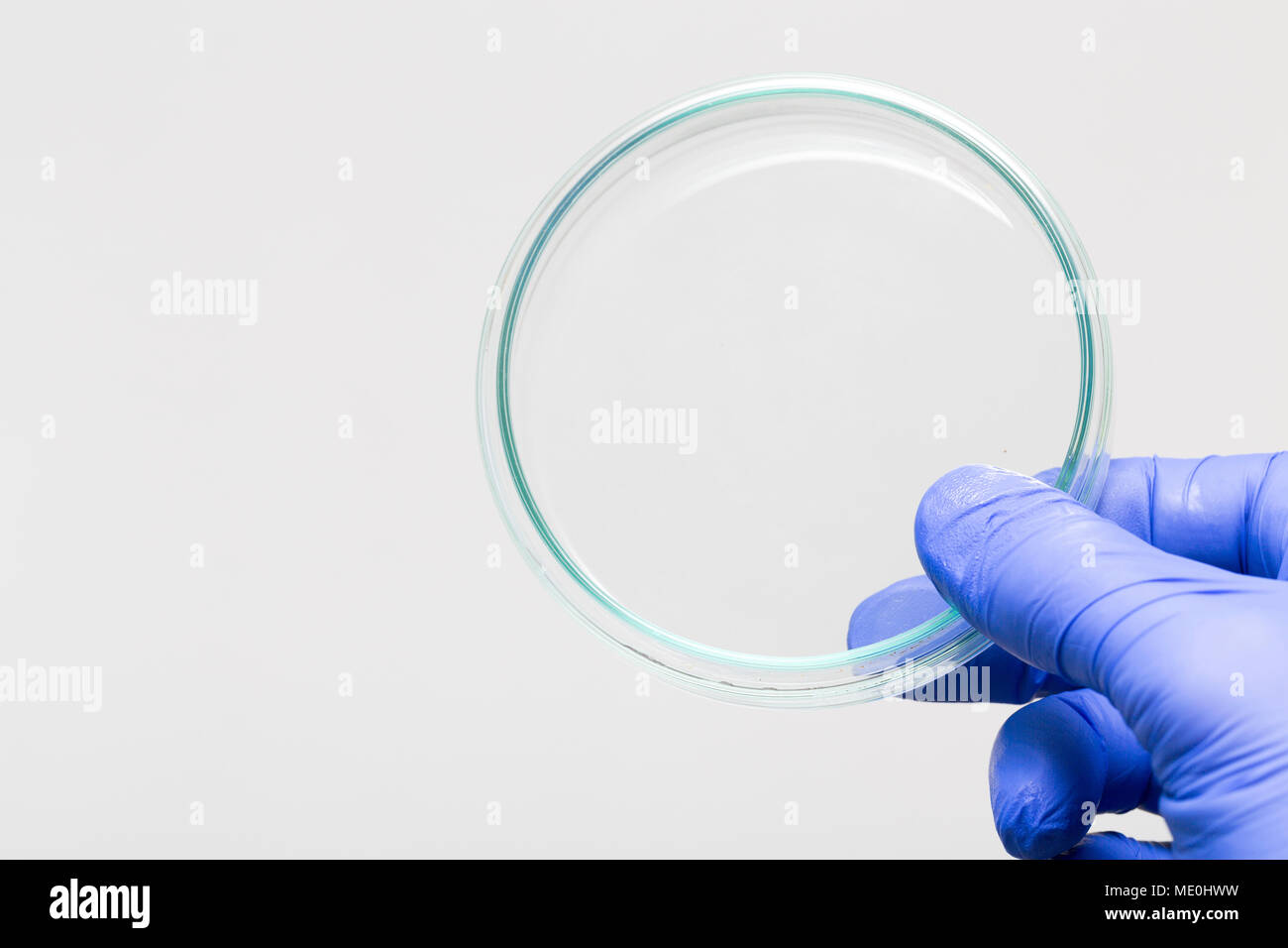 Medical lab petri hi-res stock photography and images - Alamy