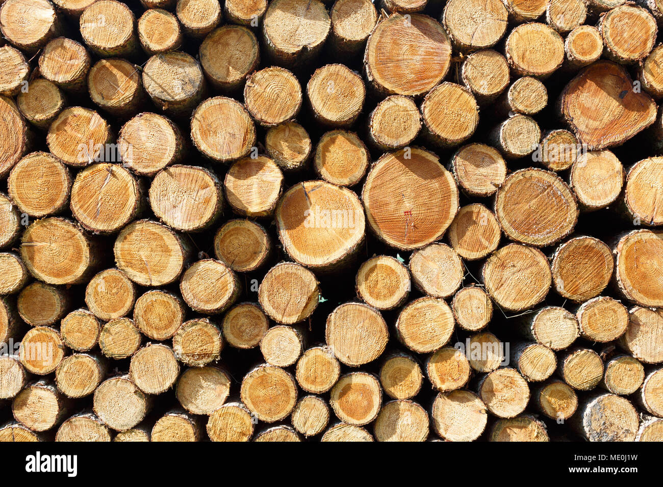 Woodpile woodpile hi-res stock photography and images - Alamy