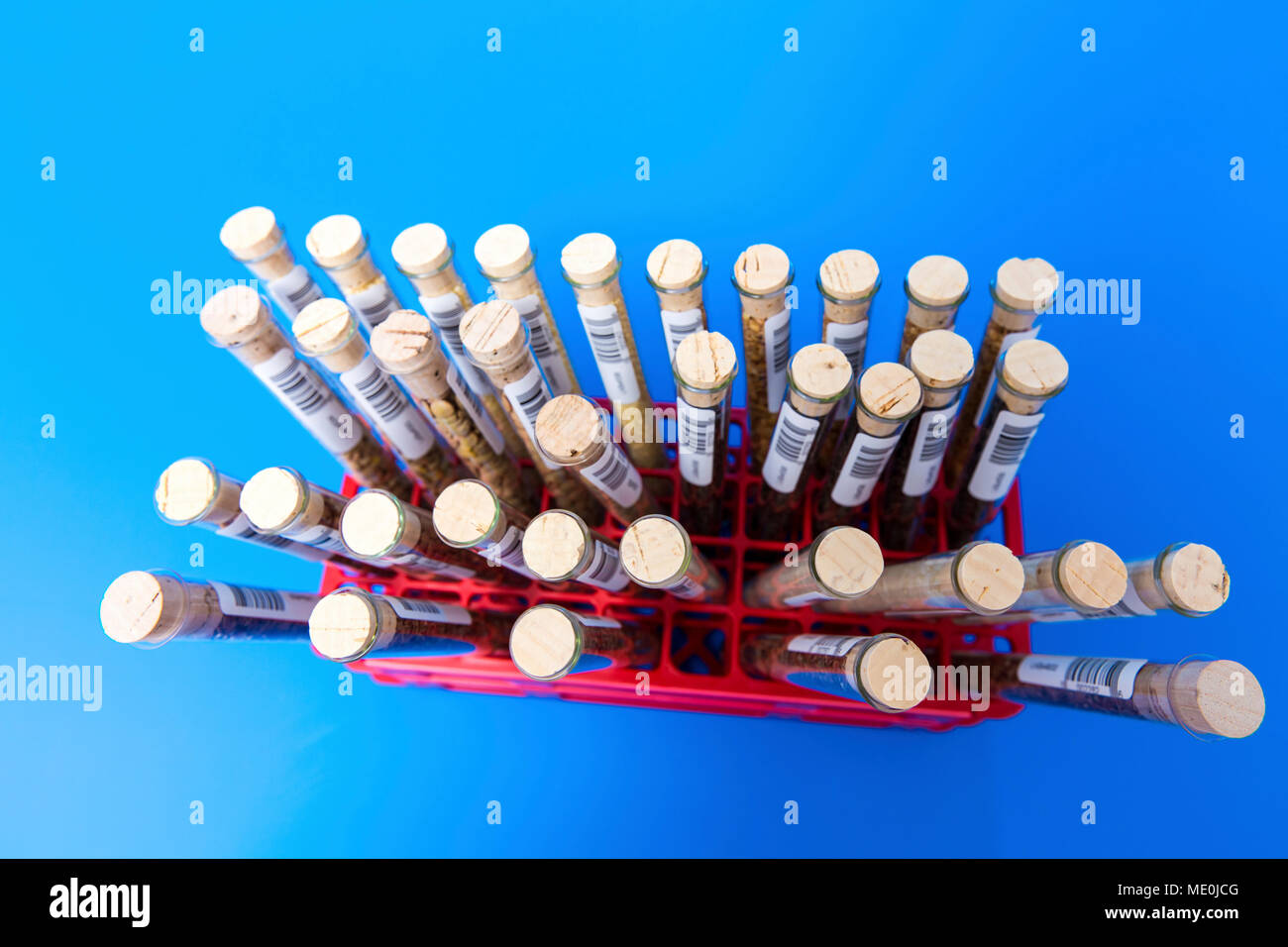 Food samples in test tubes Stock Photo - Alamy