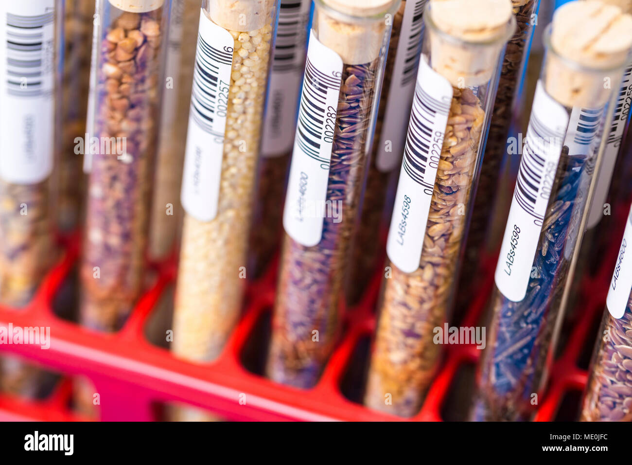 Food samples in test tubes Stock Photo - Alamy