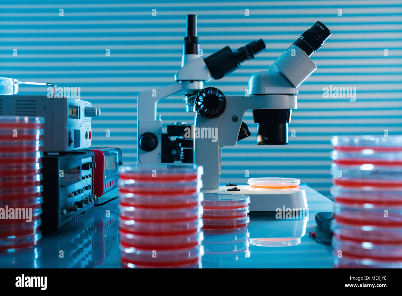 Pathology research hi-res stock photography and images - Alamy