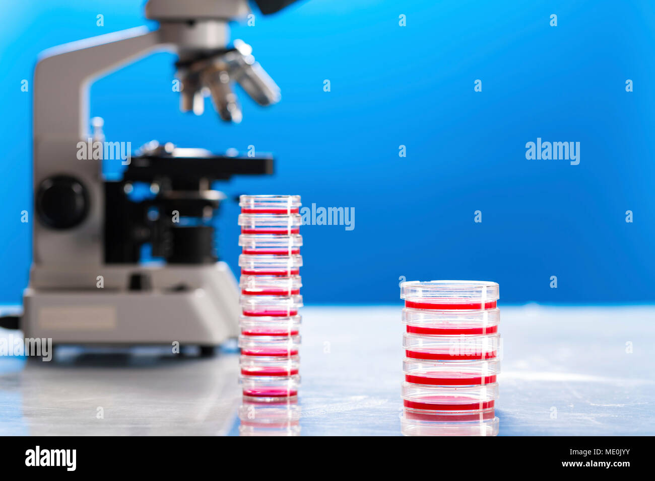 Pathology research hi-res stock photography and images - Alamy