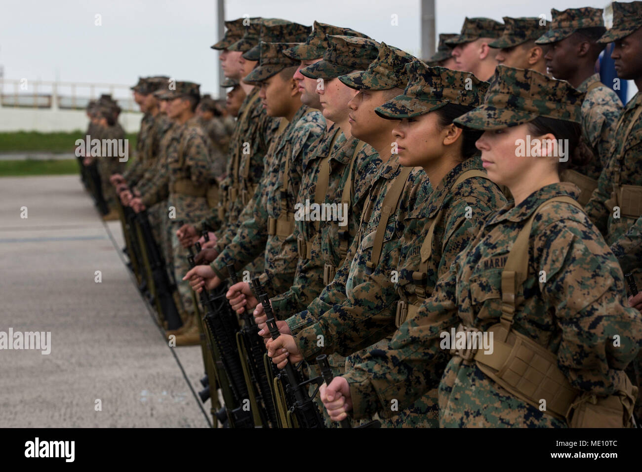 U.S. Marines with Marine Aviation Logistics Squadron (MALS) 36, 1st ...