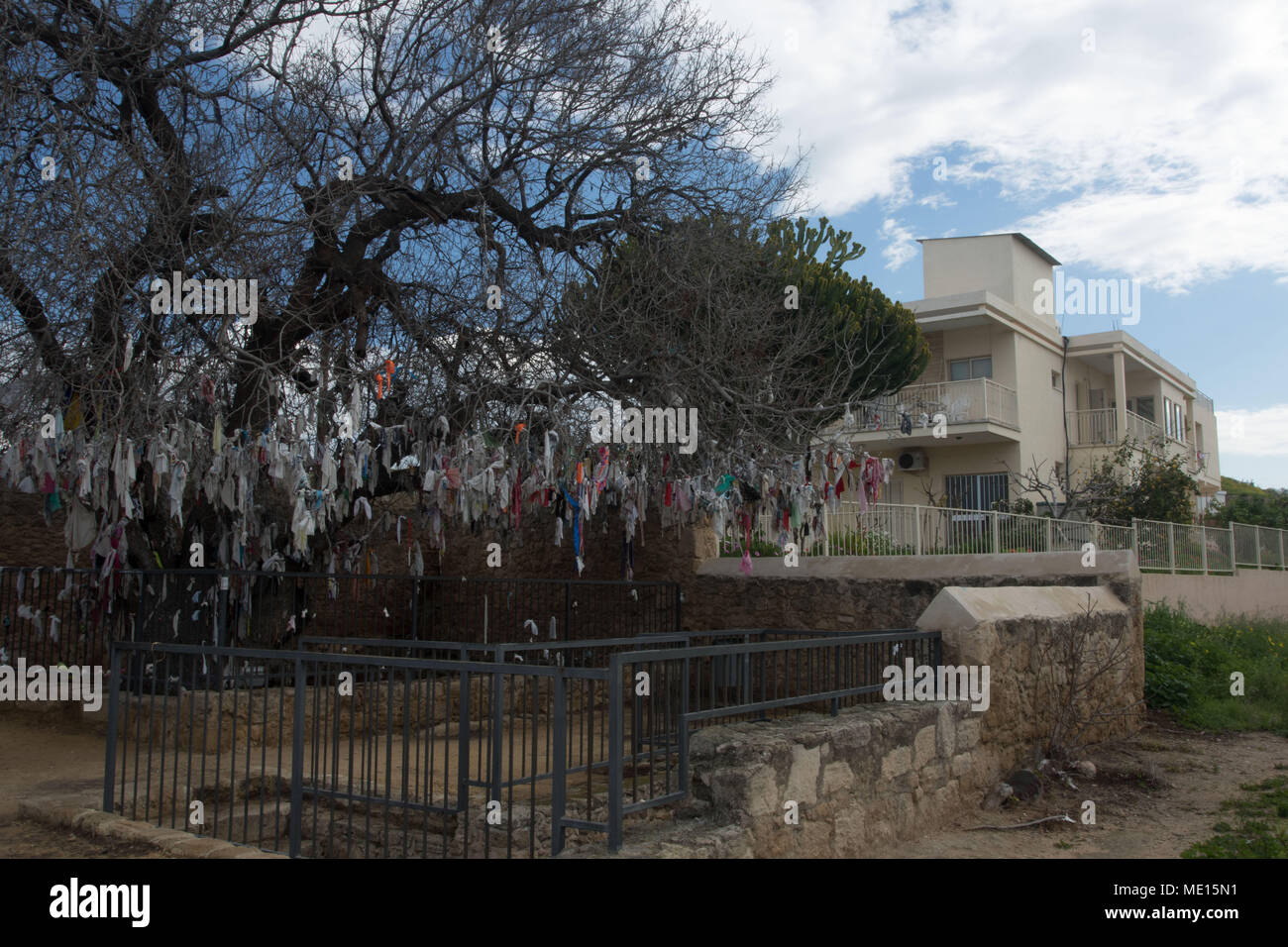 offerings on the terebinth tree outside the Agia Solomoni Christian ...