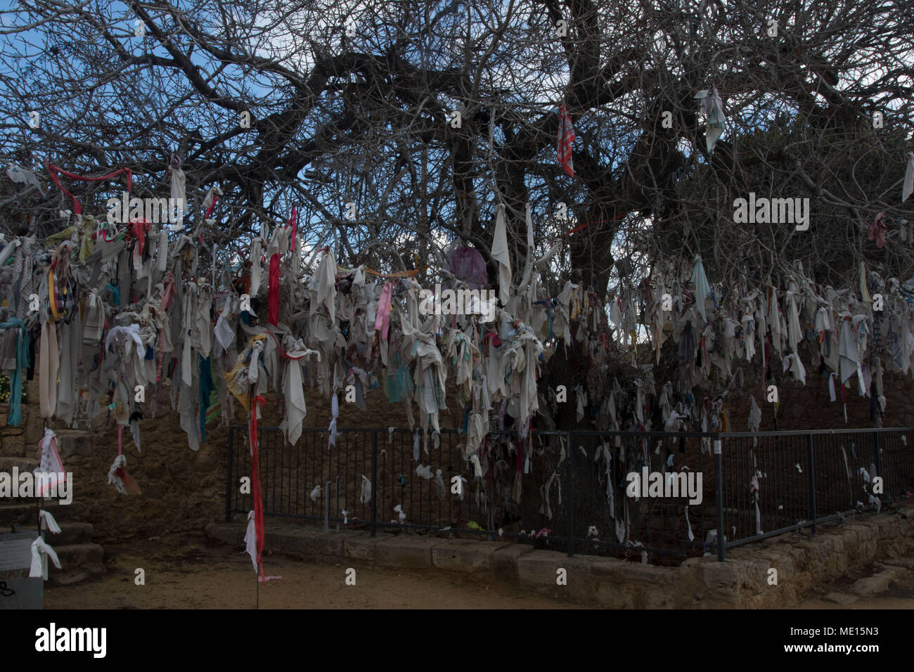 offerings on the terebinth tree outside the Agia Solomoni Christian ...
