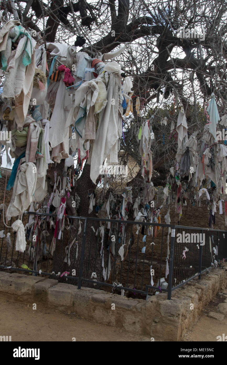 offerings on the terebinth tree outside the Agia Solomoni Christian ...