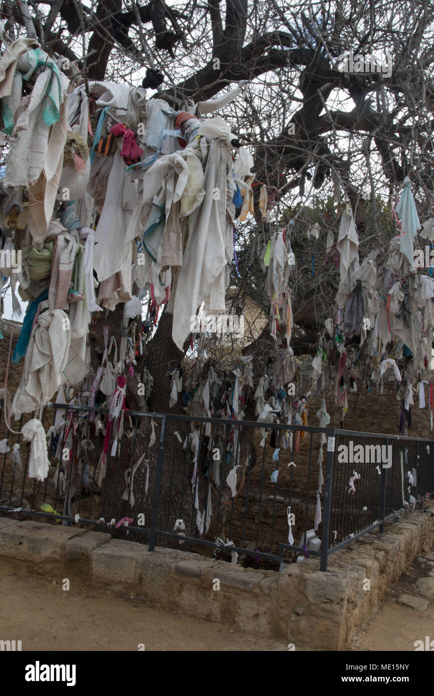offerings on the terebinth tree outside the Agia Solomoni Christian ...