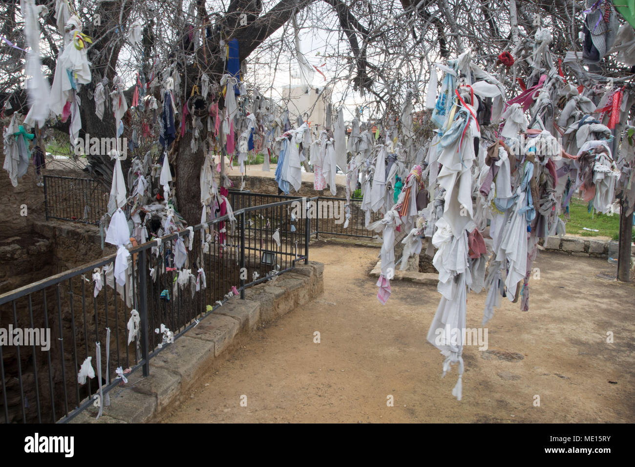offerings on the terebinth tree outside the Agia Solomoni Christian ...