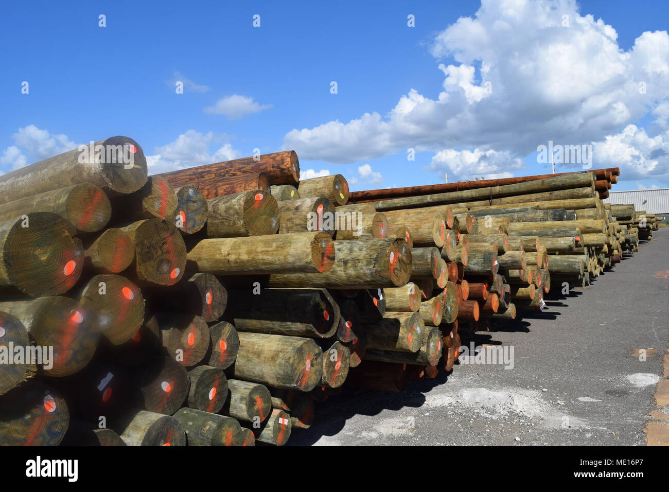 Pressure Treated Utility Poles