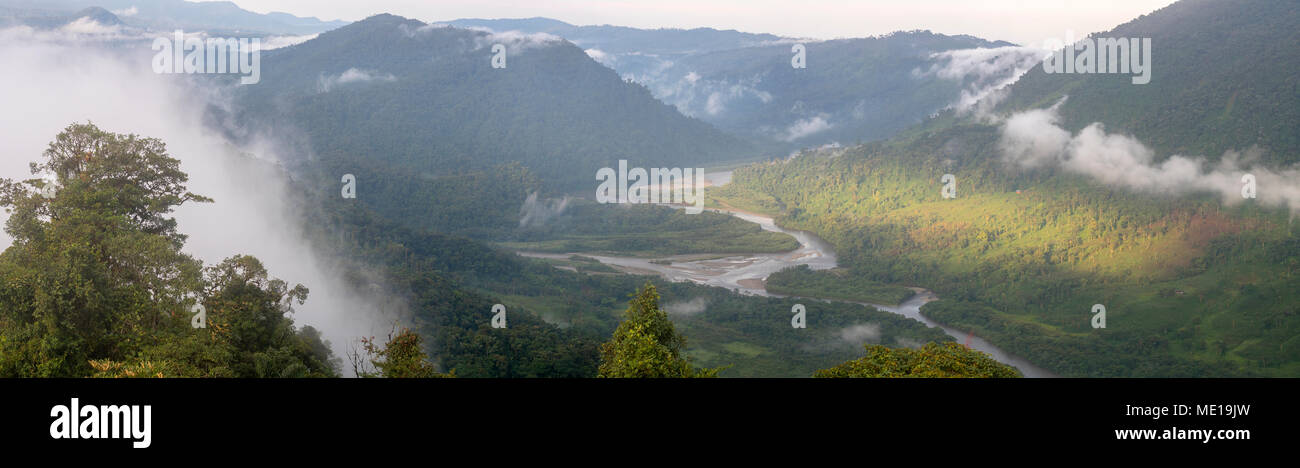 Green slopes in misty hi-res stock photography and images - Alamy