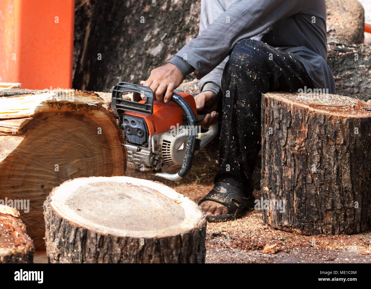 Theme park worker hi-res stock photography and images - Alamy