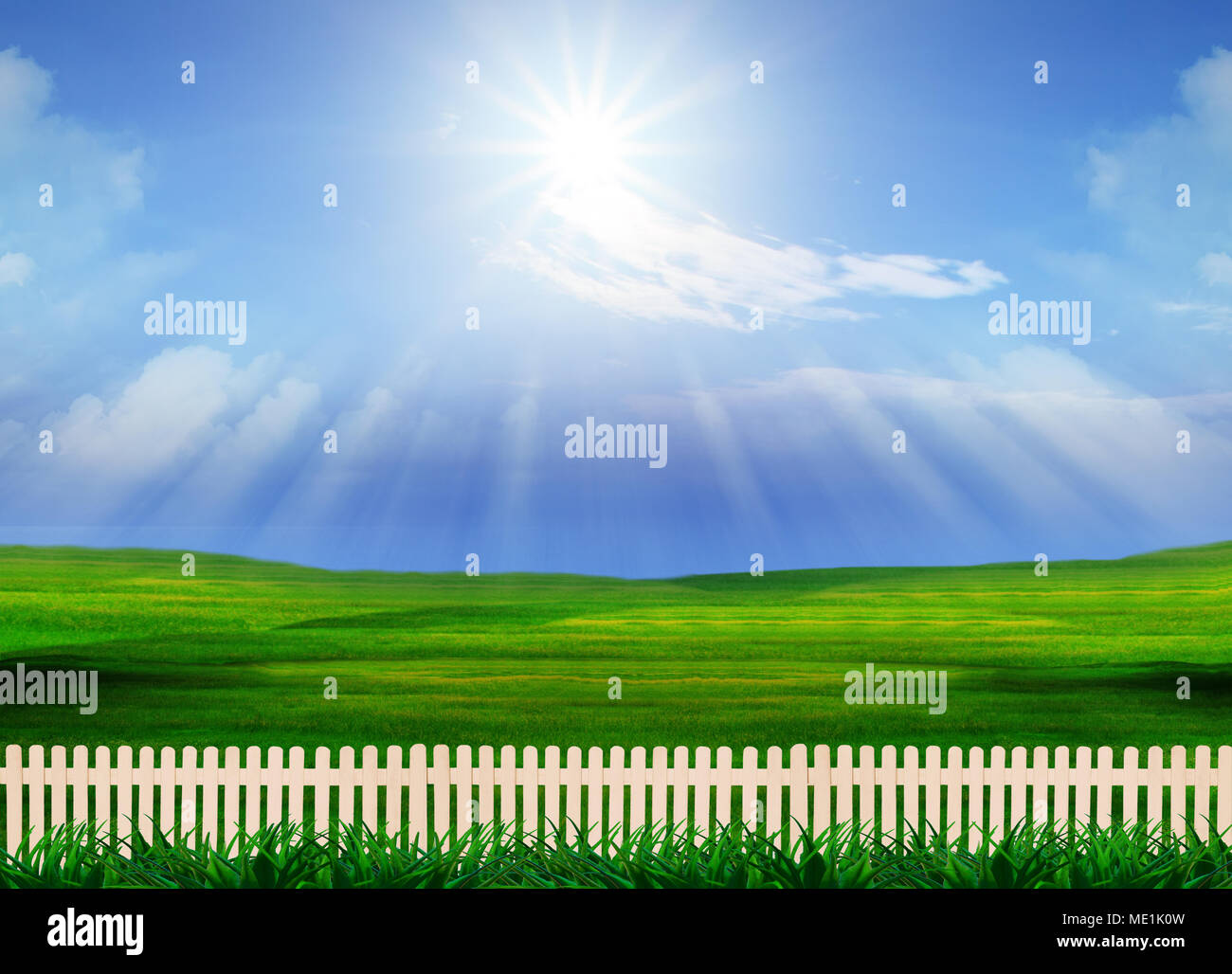 beautiful grass field and wood fence use for natural background Stock ...